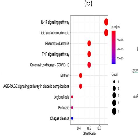 Functional Enrichment Analyses Of Module 1 A Go Analysis Of The Genes