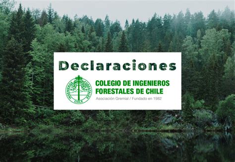 Declaración Pública Sobre La Necesidad De Impulsar El Manejo Forestal