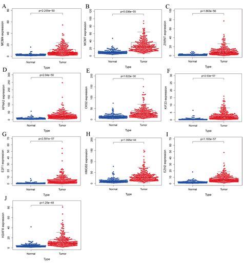 Identification Of Key Genes And Long Non Coding Rna Associated Cerna