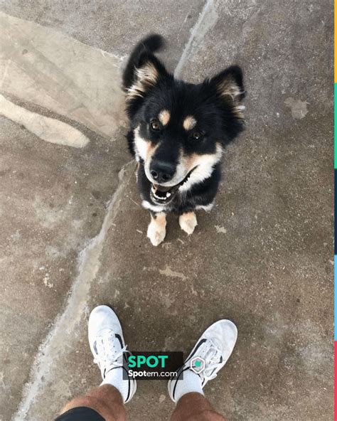 Vans Shoes Worn By Aaron Rhodes On The Account Instagram Of Asosaaron Spotern