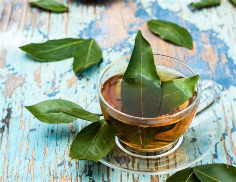 6 Amazing Bay Leaf Tea Uses And How To Use At Home