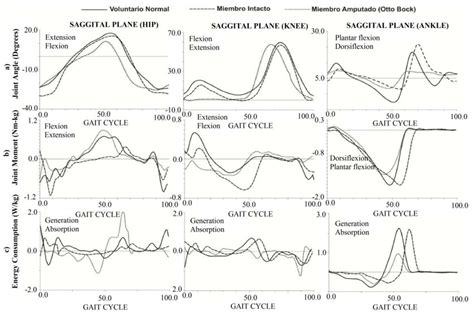 Angular And Kinetic Models For The Standard Subjects Intact And