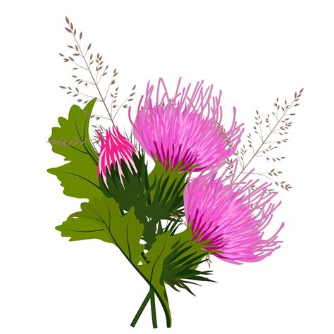 Maria Vasilenko Youtube