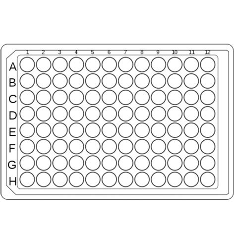 Seed Phenotyping For Single Seed Tests Labdeers Seed Phenotyping Centre