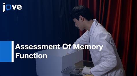 Assessment Of Memory Function In Pilocarpine Induced Epileptic Mice L Protocol Preview Youtube