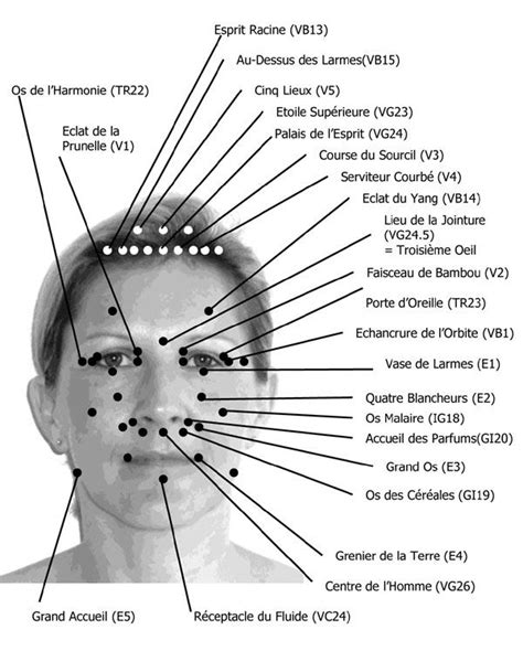 Chercher Points Douloureux Planche De Réflexologie Faciale Acupressure