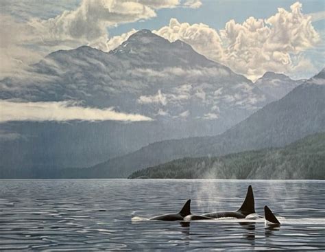 Inside Passage Orcas By Ron Parker