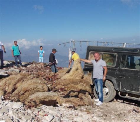 Kasaphana Qe Dora E Njeriut Ka Ndertuar Ne Malin E Tomorit