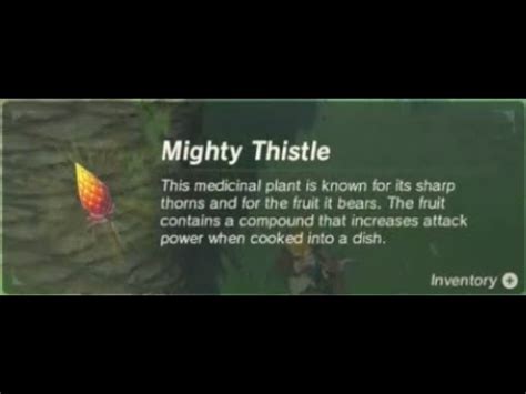 Mighty Thistle Farming Location 1 Zelda Botw Youtube