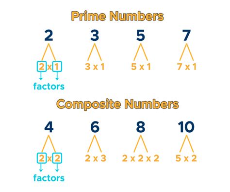 Prime Numbers Factorization And Factor Tree Curvebreakers