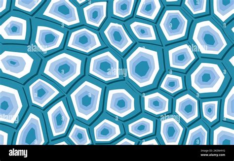 Turtle Shell Texture Drawing Turtle Shell Texture Drawing
