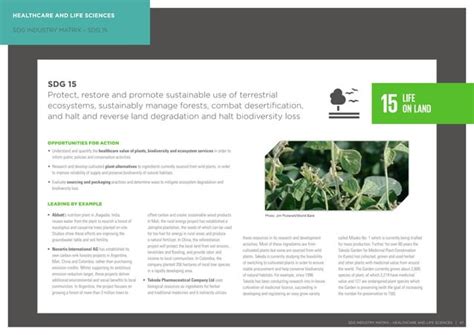 Sdg Matrix Healthcare Ppt