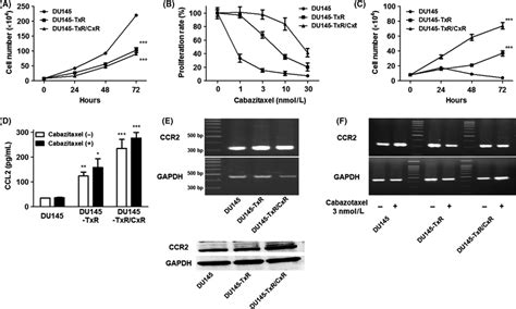Proliferation Assay And Expression Of Ccl2 And Ccr2 A‐c Du145 Download Scientific Diagram