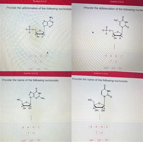 Solved Provide The Abbreviation Of The Following Nucleotide