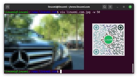 Linux终端命令行居然也可以用来查看图像 Linux迷