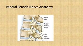 Lumbar Medial Branch Blocks In Patients With Lumbar Facet Arthropathy