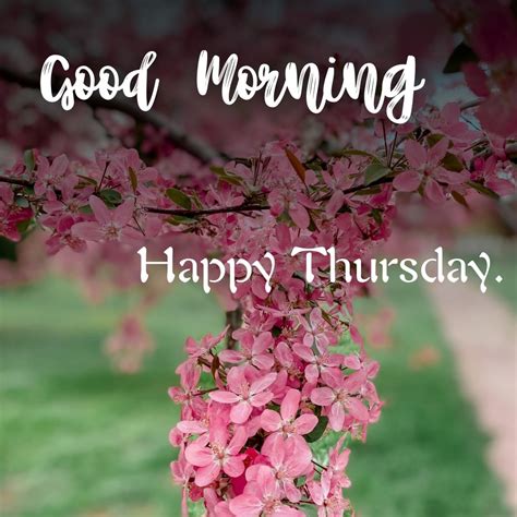 267 Good Morning Happy Thursday Images Hd For Whatsapp