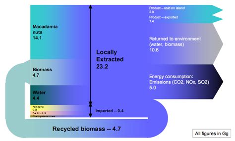 Material Flows For Nut Processing Plant Sankey Diagrams