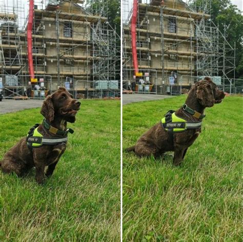 James Rospo Posted On Linkedin