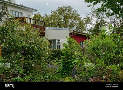 Architectural Details And Lush Garden Scenery In West Kópavogur 50s