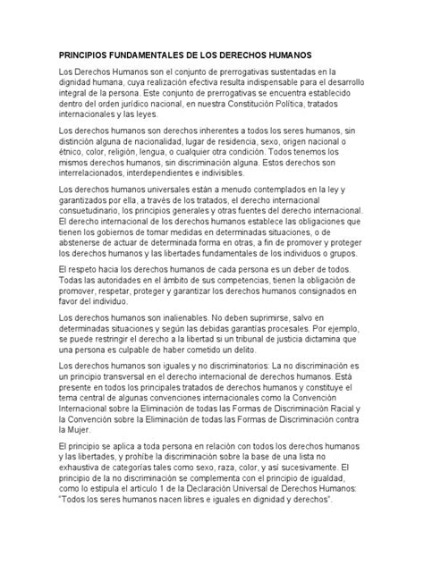 Principios Fundamentales De Los Derechos Humanos Pdf Derechos