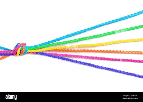 Six Multicolored Braided Leather Cords Knotted Together Isolated On