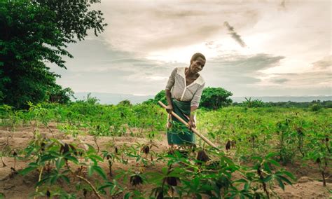 Locally Led Nature Based Solutions Can Deliver Global Leaders Pledge The Good Men Project