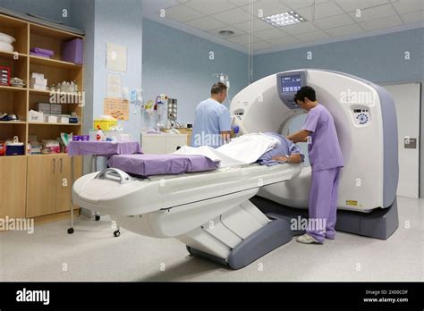 Cat Computarized Axial Tomography Radiology Department Donostia