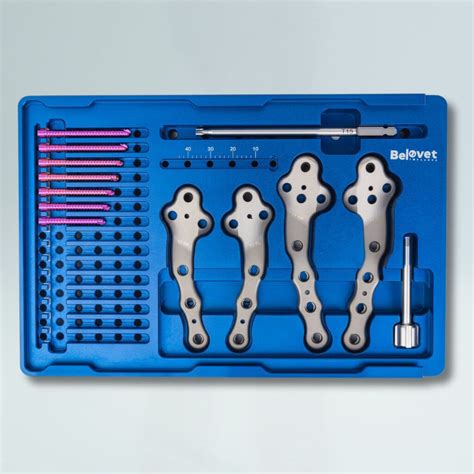 Equipo Tplo Large Belovet