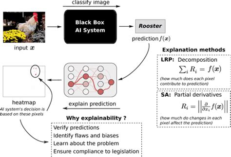 Pdf Explainable Artificial Intelligence Understanding Visualizing And Interpreting Deep