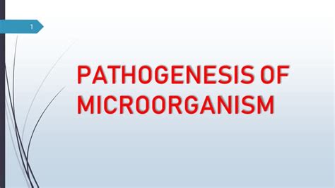 Pathogens Of Microorganisms On Microbiologypptx