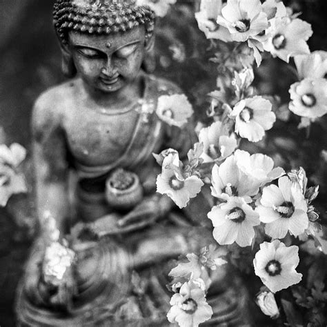 Divine Elevations Youtube