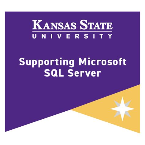 Supporting Microsoft Sql Server Credly