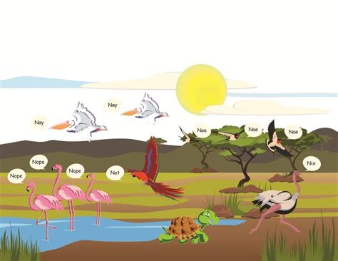 How The Tortoise Got The Cracks On His Shell — Anike Foundation