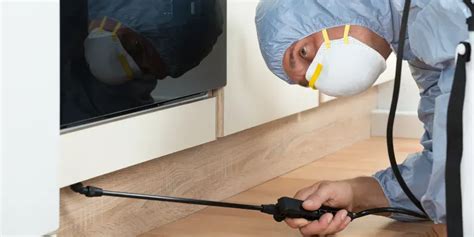 5 Common Cockroach Species Target Pest Control