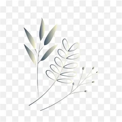 Leaf Branch Vector Graphics With Gradient Effect