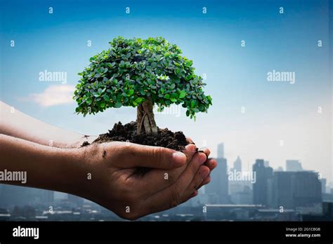 Less Pollution Picture When Us Emissions Dropped Mortality Dropped