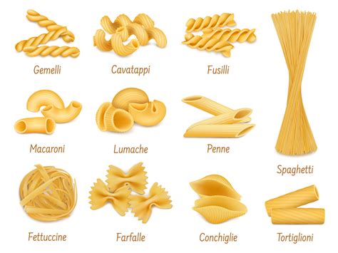 Realistic Pasta Types Farfalle Spaghetti And Penne Macaroni Italian