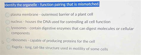 Solved Identify The Organelle Function Pairing That Is Mismatched Plasma Membrane