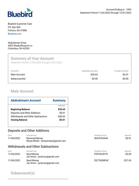 Bluebird Statement Bluebird Pdf Business Financial Services