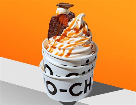 Yo Chi Frozen Yogurt Franchise At Julia Belcher Blog