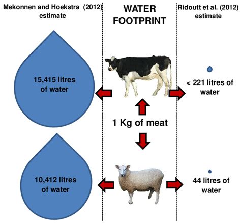 Water Used For Meat Production At Janita Huang Blog