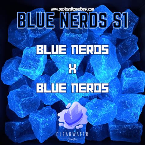Blue Nerds S1 Pack Banditz Seed Bank