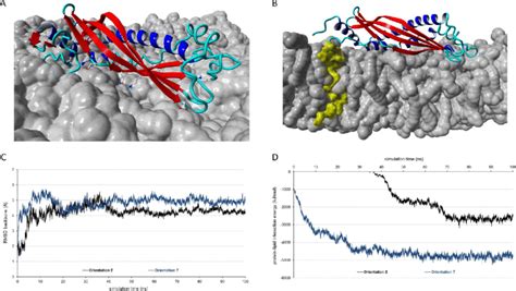 The 100 Ns Protein Lipid Md Simulation Results A Last Snapshot Of