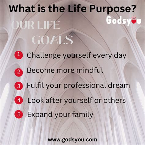 What Is The Life Purpose What Is The Life Purpose Life Purpose… By Godsyou Medium