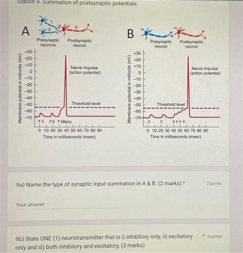 Solved Station 9 Summation Of Postsynaptic Potentials 9a