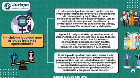 Definición Y Ejemplos De Segregación Cómo Identificarla Y Prevenirla