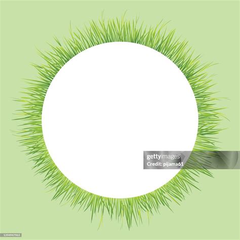 Oval Frame Grass High Res Vector Graphic Getty Images