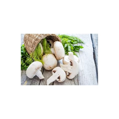 Electric Batch Blancher Pe