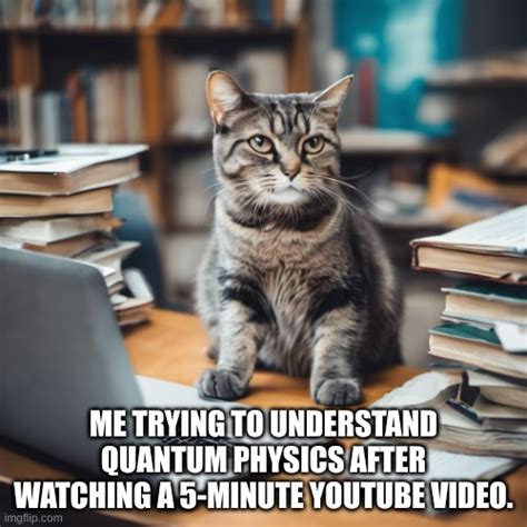 Cat Meme Physics Iphone 14 Pro Max Inside The Box